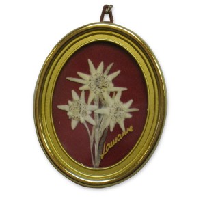 Frame Edelweiss - BazarOuchy