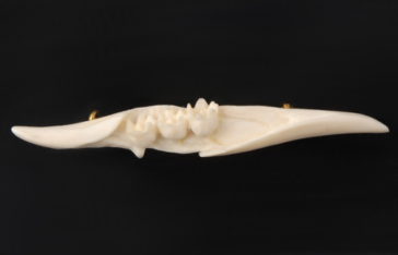 Ivory brooch - Marguerite - BazarOuchy